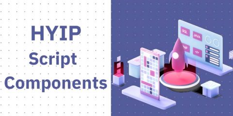 HYIP Script Components